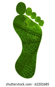 10,547 Green Footprint Stock Vectors, Images & Vector Art | Shutterstock