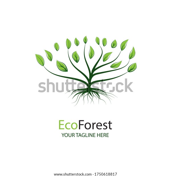 Ecoforest Tree Life Logo Design Vector Stock Vector (Royalty Free ...