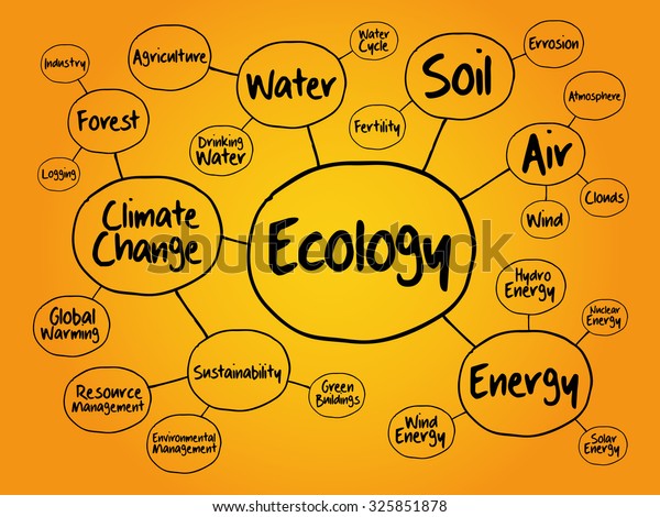 Ecology Mind Map Flowchart Concept Presentations Stok Vektör (Telifsiz ...