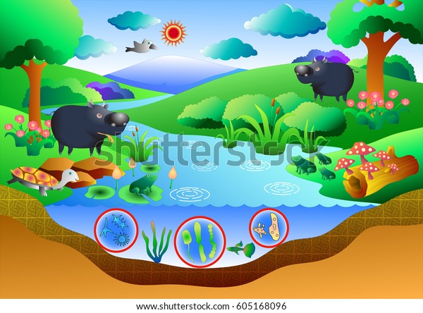 Ecosystem Diagram Vector Art Graphic Website: เวกเตอร์สต็อก (ปลอดค่า ...