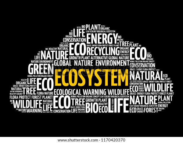 Ecosystem Word Cloud Conceptual Green Ecology Stock Vector (Royalty ...