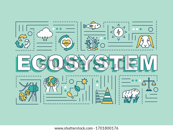 Ecosystem Word Concepts Banner Biodiversity Living Stock Vector ...