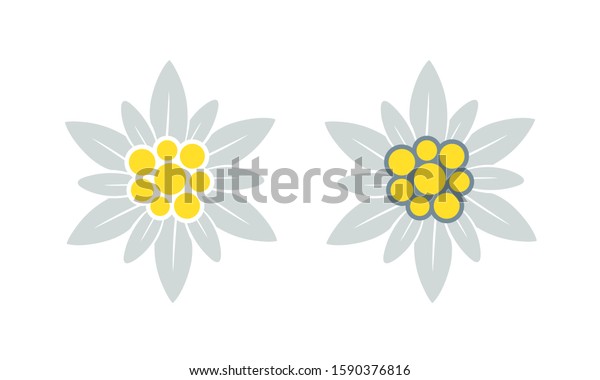 Edelweiss Logo Isolated Edelweiss On White Stock Vector (Royalty Free ...
