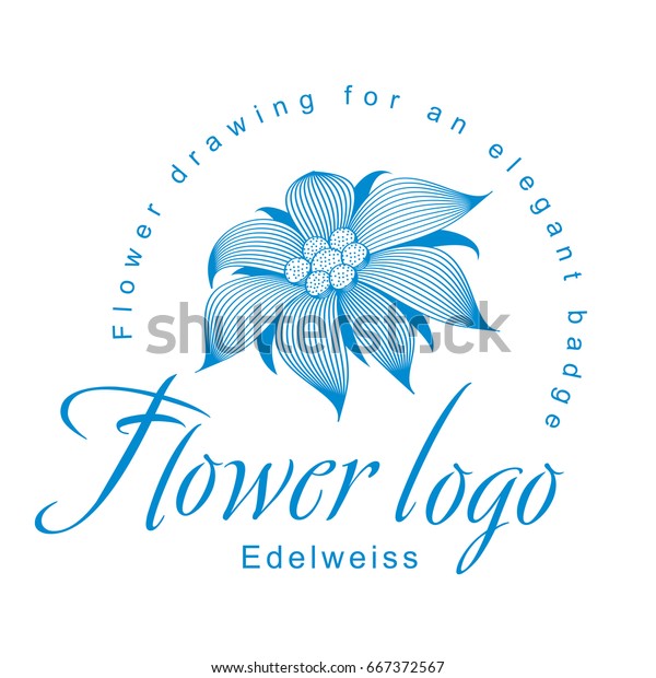 Edelweiss Logo Template Flower Elegant Corporate Stock Vector (Royalty ...