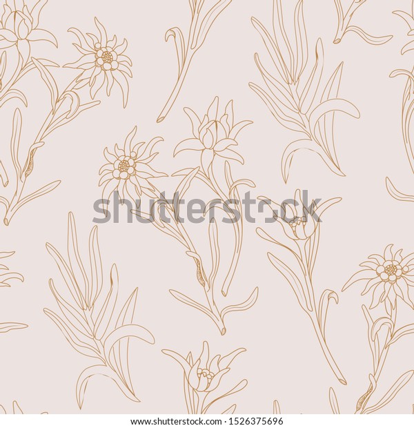 Edelweiss Seamless Pattern Edelweiss Flowers On Stock Vector (Royalty ...