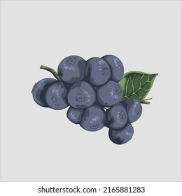 Edible Wild Berries Vector Image Stock Vector (Royalty Free) 2165881283 ...