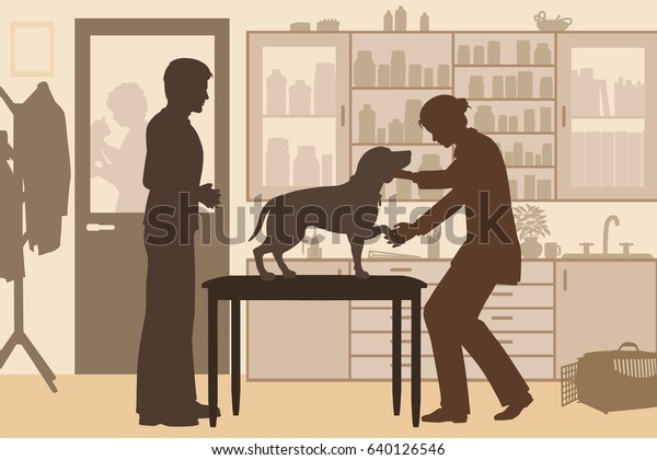 Editable vector silhouette of a female vet examining a pet dog with ...