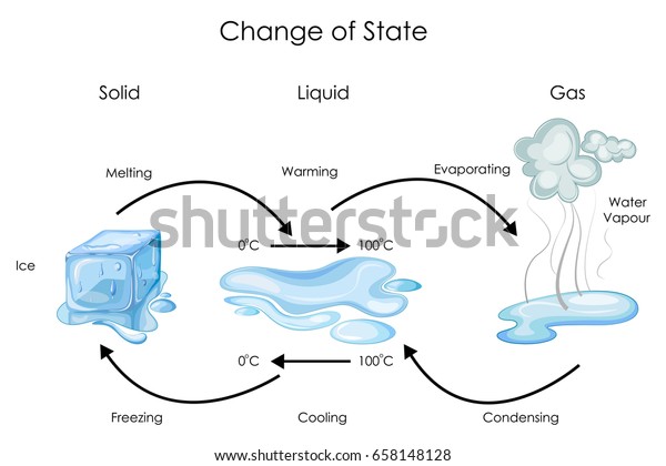 Education Chart Biology Change State Water Stock Vector (Royalty Free ...