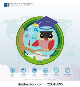 Education Infographic Learning Concept Owl Teacher Stock Vector ...
