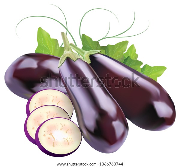 Eegplant Terong Vegetable Stock Vector (Royalty Free) 1366763744 ...