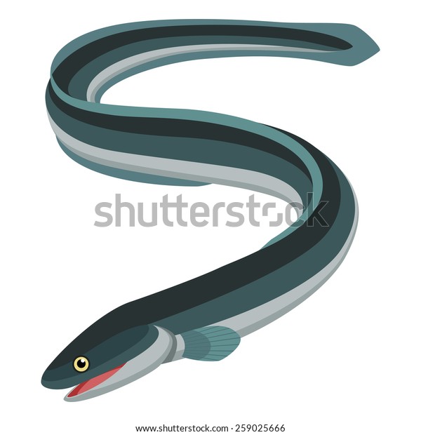 Eel Stock Vector (Royalty Free) 259025666 | Shutterstock