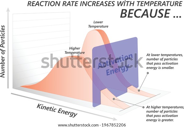 41 Temperature And Reaction Rates Images, Stock Photos & Vectors ...