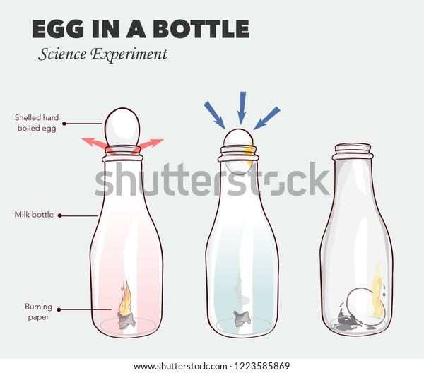 Egg Bottle Science Experiment Vector Illustration Stock Vector (Royalty ...