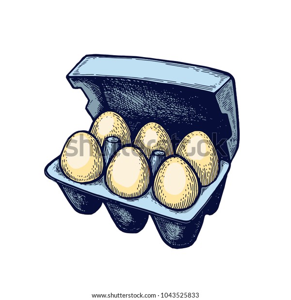 Egg Carton Hand Drawn Isolated Vector Stock Vector (Royalty Free ...