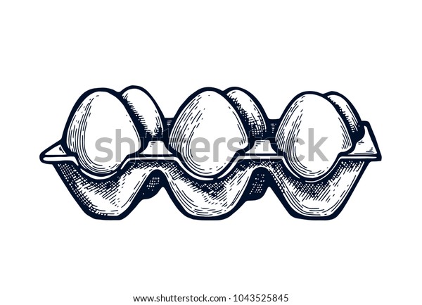 Egg Carton Hand Drawn Isolated Vector Stock Vector (Royalty Free ...