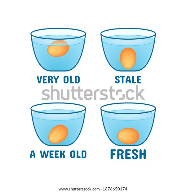 Egg Water Test On Transparent Glass Stock Vector (Royalty Free ...