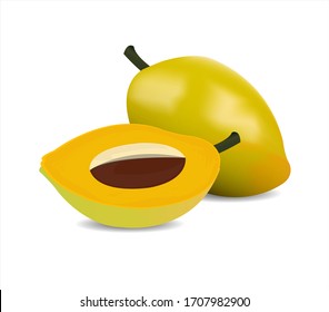 Eggfruit Isolated On White Background Vector Stock Vector (Royalty Free ...