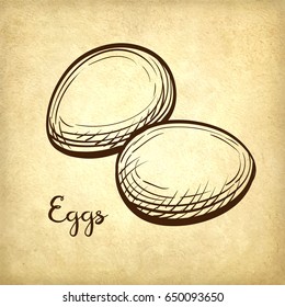 Eggs Hand Drawn Vector Illustration On Stock Vector (Royalty Free ...