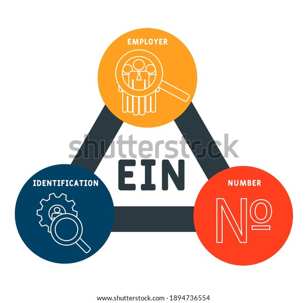 Ein Employer Identification Number Acronym Business Stock Vector ...