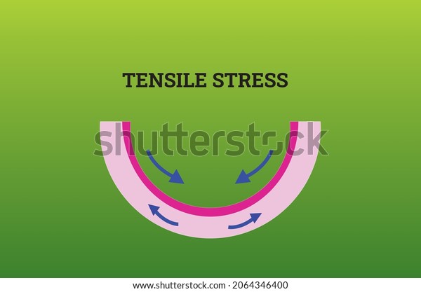 Elasticity Tensile Stress Force Vector Stock Vector (Royalty Free ...