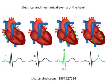 Electrical Mechanical Events Heart Stock Vector (Royalty Free ...