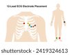 18+ Thousand Rib Cage Royalty-Free Images, Stock Photos & Pictures ...