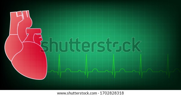 Electrocardiogram Shows Normal Heart Beat Line Stock Vector (Royalty ...