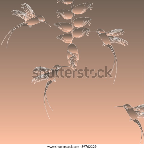Vektor Stok Elegant Background Colibri Hummingbirdvector Illustaration ...