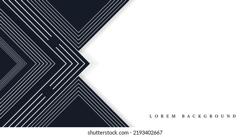 Elegant Black White Line Background Design Stock Vector (Royalty Free ...