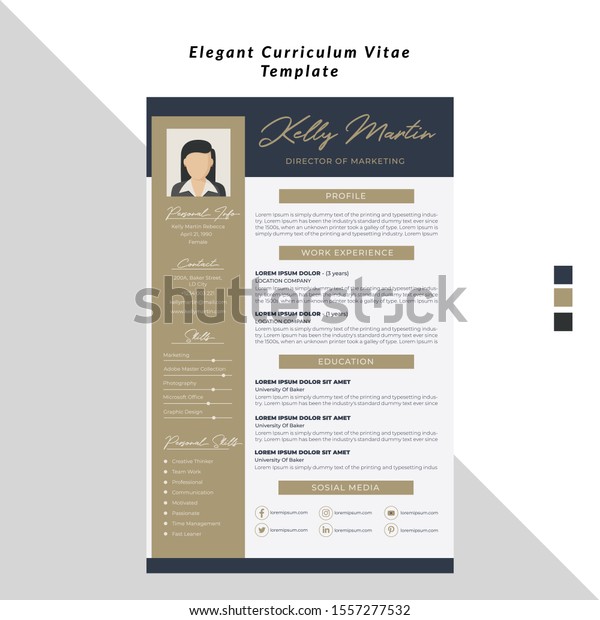 Elegant Curriculum Vitae Template Gold Blue Stock Vector (Royalty Free ...
