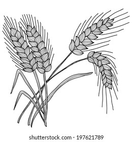 Elegant Decorative Wheat Design Element Wheat Stock Vector (Royalty ...