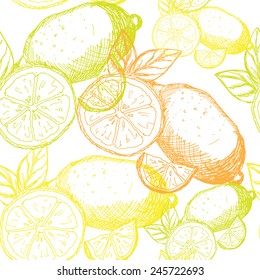 Elegant Seamless Pattern Hand Drawn Lemon Stock Vector (Royalty Free ...