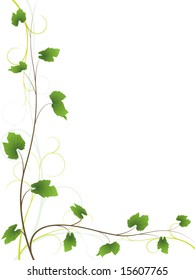 Elegant Vine Background More Vine Vectors Stock Vector (Royalty Free ...