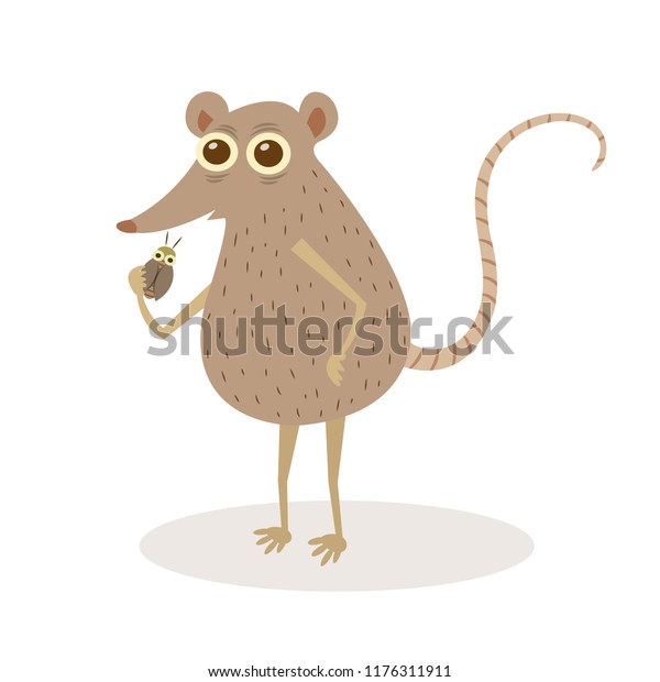 Elephant Shrew Vector Cartoon Illustration Long Stock Vector (Royalty ...