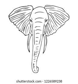Elephant Face Line Drawing Vector Animal: vector de stock (libre de ...