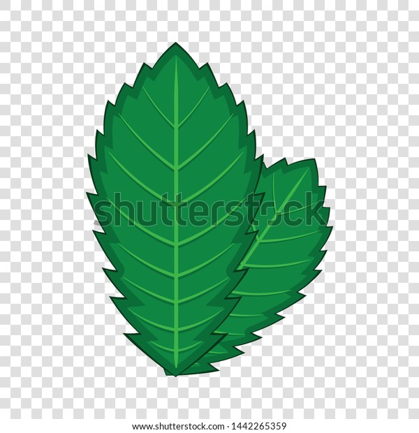 Elm Leaf Icon Cartoon Illustration Elm Stock Vector (Royalty Free ...