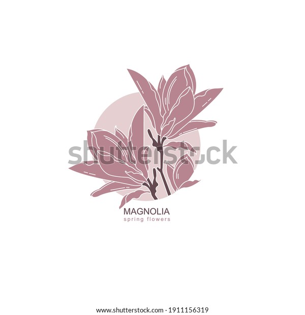 Emblem Magnolia Flowers Spring Flowers Vector Stock Vector (Royalty ...