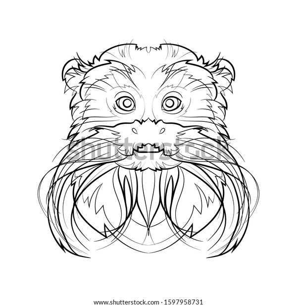 Emperor Tamarin Head Line Drawing Vector Stock Vector (Royalty Free ...