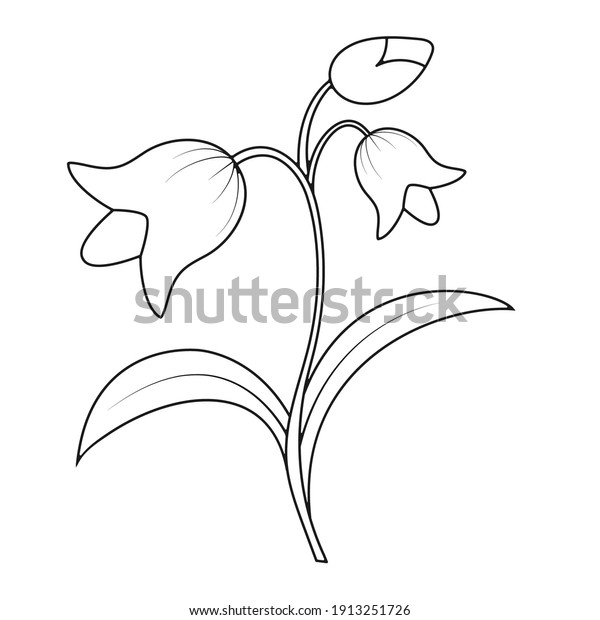 Empty Outline Flower Petals Doodle Style Stock Vector (Royalty Free ...