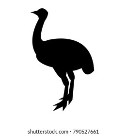 Emu Icon Vector Illustration Stock Vector (Royalty Free) 790527661 ...