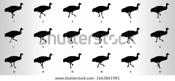 Emu 실행 주기 애니메이션 시퀀스 실루엣, 스톡 벡터(로열티 프리) 1663861981 | Shutterstock