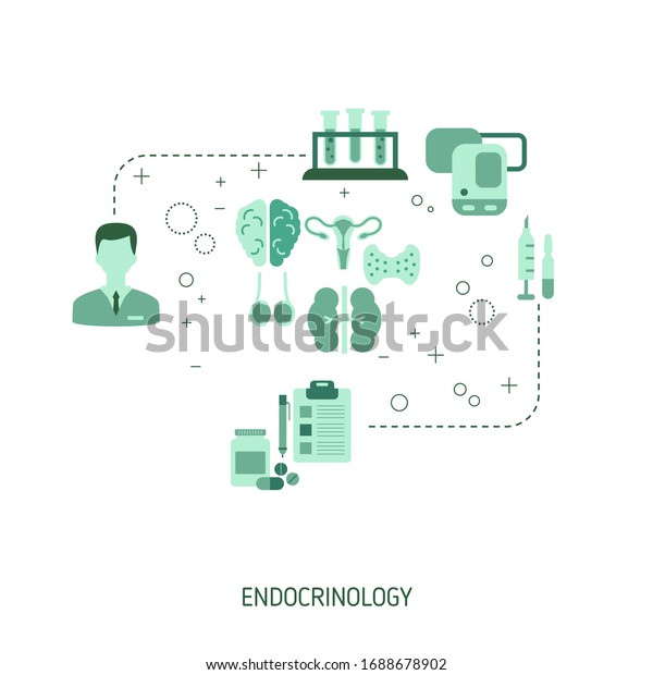 Endocrinology Concept Vector Illustration Stock Vector (Royalty Free ...