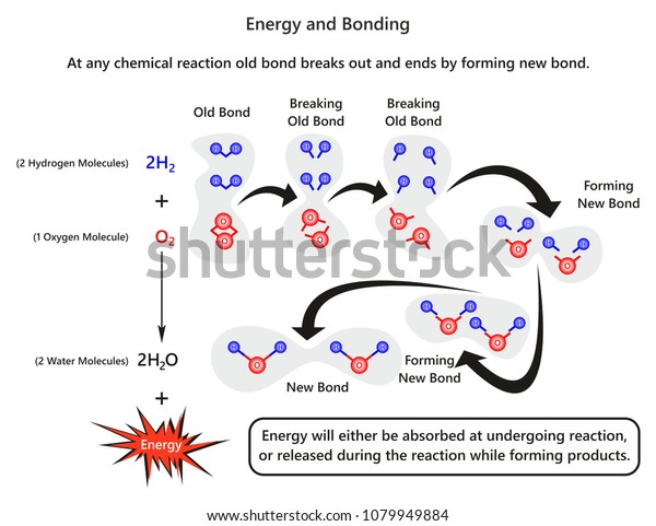 Energy Bonding Infographic Diagram Example Forming 库存矢量图（免版税）1079949884 ...