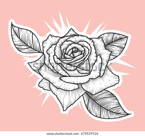 Engraved Style Illustration Rose Stock Vector (Royalty Free) 679929526 ...