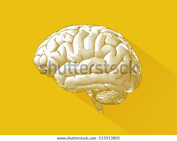 Engraving Brain Illustration Long Shadow On Stock Vector (Royalty Free ...