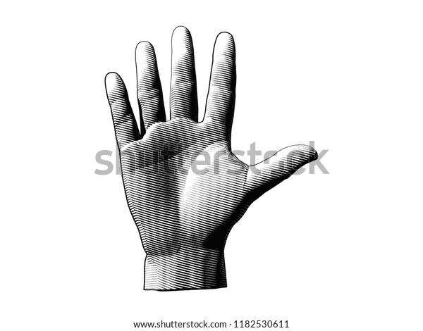 Engraving Drawing Human Palm Hand Illustration Stock Vector (Royalty ...
