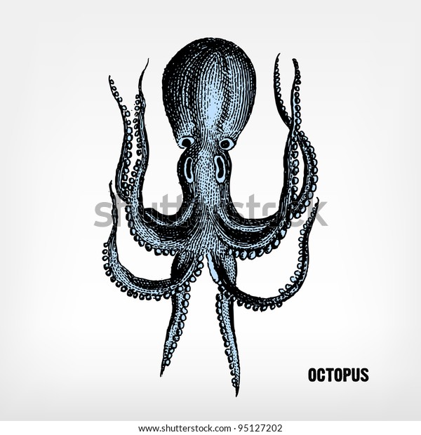 Engraving Vintage Octopus Complete Encyclopedia Illustrations Stock ...