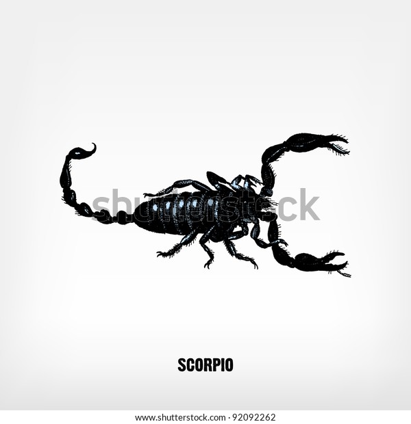 Engraving Vintage Scorpio Complete Encyclopedia Illustrations Stock ...