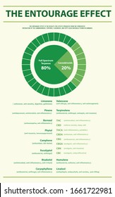 Entourage Effect Proportion Horizontal Infographic Illustration Stock ...