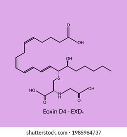 Eoxin D4 Eoxin Biomolecule Molecular Formula Stock Vector (Royalty Free ...